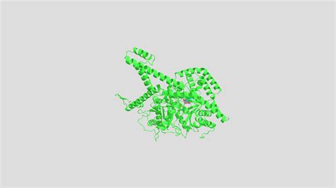 Cpt1a Baicalein Download Free 3d Model By Xfd997700 [09a6afc] Sketchfab