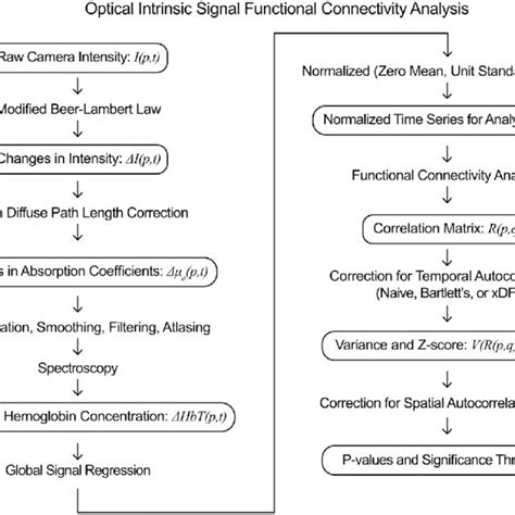 Flowchart Of Data Analysis Including Definitions Of The Variables Used