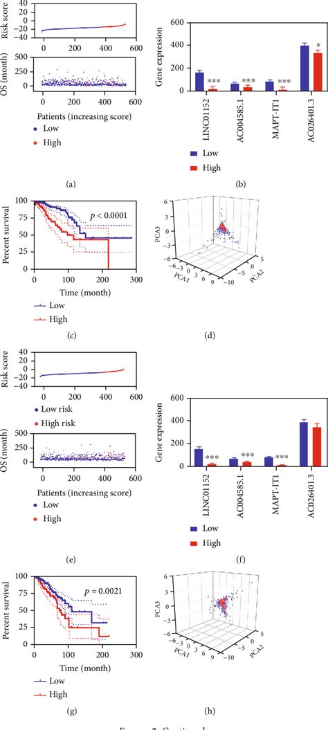 Figure 1 From Development And Validation Of Ferroptosis Related Lncrnas