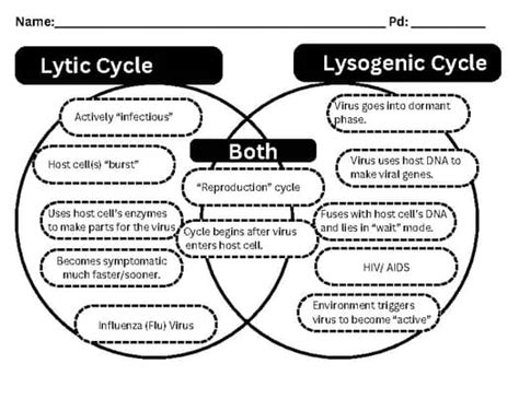 Lytic Vs Lysogenic Cycles Venn Diagram Card Sort Virus Viruses Tpt