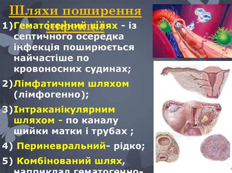 Післяпологові септичні ускладнення презентация онлайн