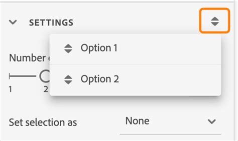 Add Radio Group Widget To An Adobe Captivate Project