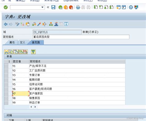 Abap小技巧字段域值设置与代码调用abap 域值 Csdn博客