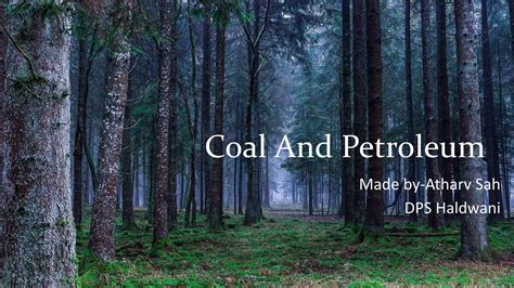Coal And Petroleum Class 8 Pptx