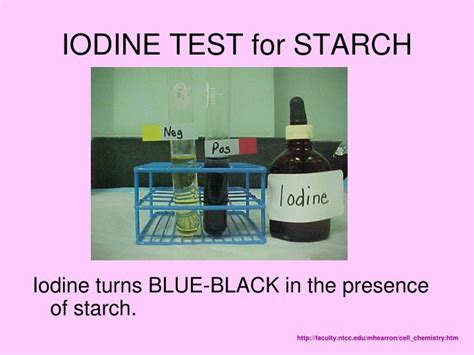 PPT OSMOSIS DIFFUSION LAB PowerPoint Presentation ID 466637