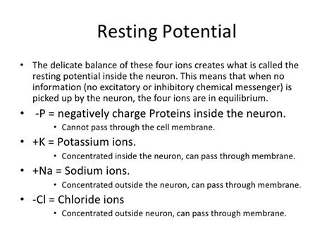 What Neurons Do Resting Potential