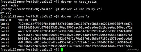 Docker系列9：容器卷挂载下容器挂载数据卷的方法 Csdn博客