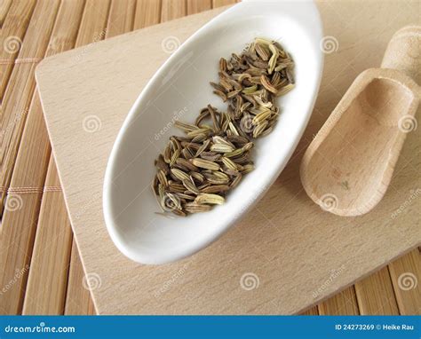 De Zaden Van De Venkel Fructus Foeniculi Stock Afbeelding Image Of