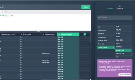 datameer transform data in snowflake