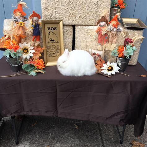 Lori Rabbit Farm Added A New Photo Lori Rabbit Farm