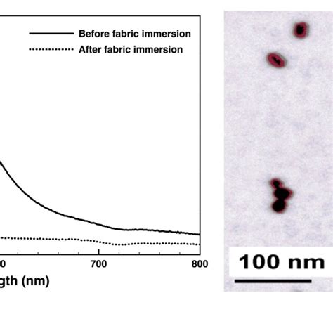A Ultraviolet Uv Visible Spectra Of Gold Nanoparticles Aunps