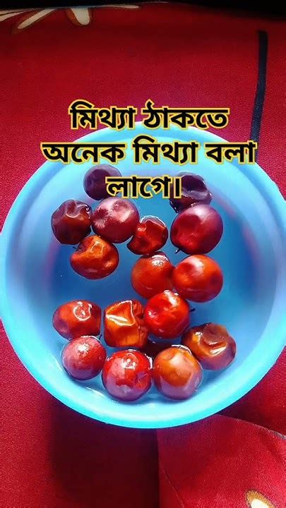 একটা মিথ্যা কথা ঠাকতে অনেক মিথ্যা কথা বলা লাগে 🙏🙏🙏🙏 আল্লাহু আকবার Allahﷻallahﷻ Sorts Love