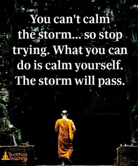 Pinterest Buddhist Quotes Buddhism Quote Positive Quotes