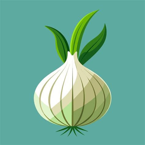 Premium Vector Garlic With Ripe Leaves 3d Vector Illustration