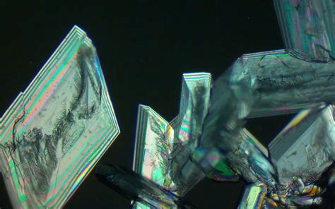 生物显微镜下硫酸铜的结晶和晶体长大过程哔哩哔哩bilibili
