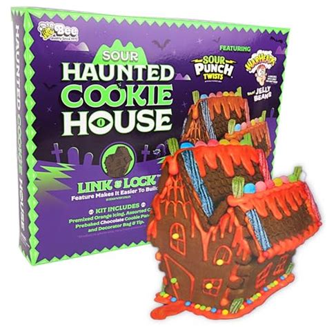 I Tested The Top Rated Gingerbread House Candy Kit For A Festive