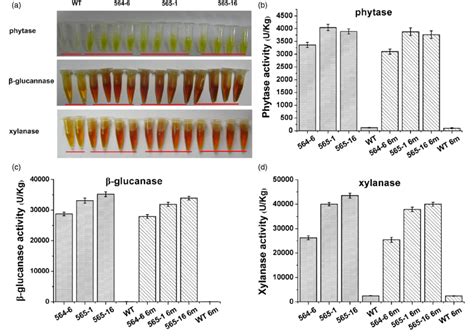 Phytase B B Glucanase C And Xylanase D Activities In Barley Download Scientific Diagram