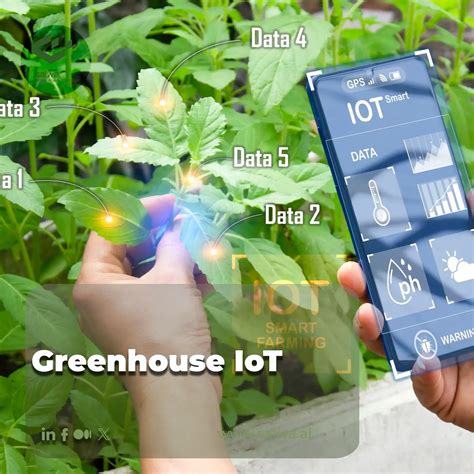 Greenhouse Iot Solutions Smart Cultivation