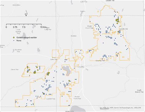 Golden Winged Warbler Point Count Stations Where Surveys Were Conducted Download Scientific