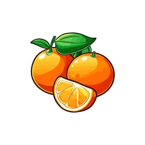 Premium Vector Clipart Vector Illustration Of Oranges
