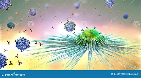 Lymphocytes Cell In The Immune System Reacting And Attacking A