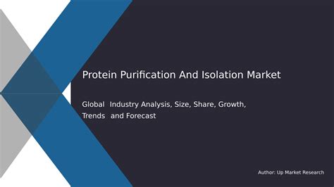 Protein Purification And Isolation Market Research Report 2020 2028