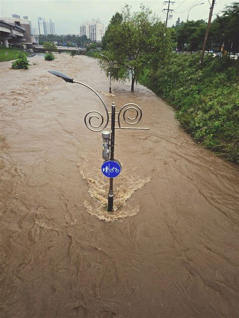 Linkedin Jihyun Cheon 페이지 자전거타고가다가잠수해야할판 우리집앞하천 하필고른우산이양우산겸용 우산을썼는데비가와요 링매모