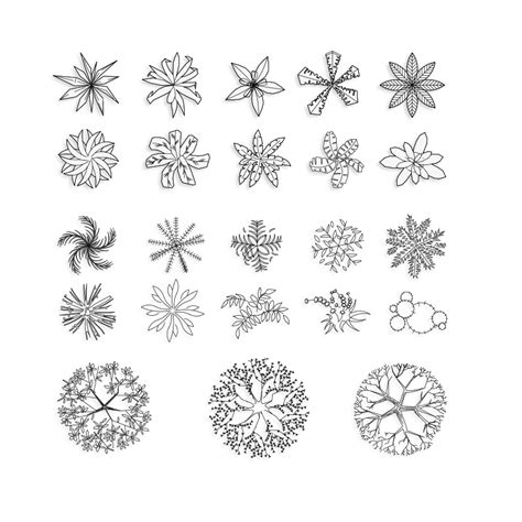 Autocad Tree Drawings