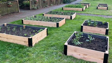 Build Your Dream Garden With These 16 Easy Diy Raised Beds