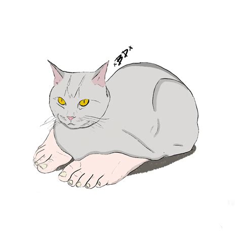 Cat With Human Feet By Badlydrawnss On Newgrounds