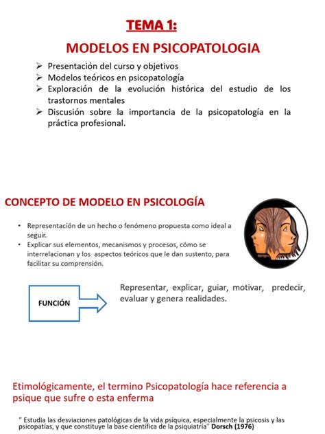Modelos En Psicopatologia Descargar Gratis Pdf Trastorno Mental