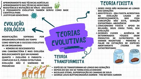 Solution Teorias Evolutivas Studypool