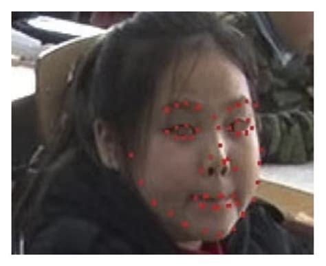 An Output Example Of The Landmark Detector Download Scientific Diagram