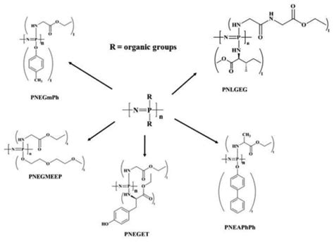 Biodegradable Polyphosphazene Based Blends For Regenerative Engineering Abstract Europe Pmc