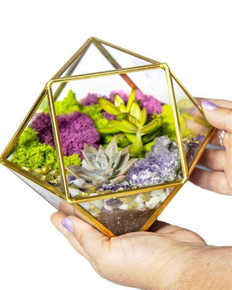 Geometric Gold Glass Succulent Terrarium Kit Succulent Terrarium Terrariums Kits Diy