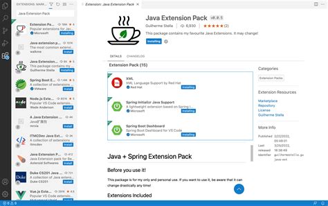 Visual Studio Code Setup For Java And Spring With GitHub Copilot