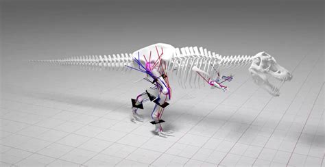 T Rex Couldn T Sprint But It Could Still Move Faster Than You Gizmodo UK
