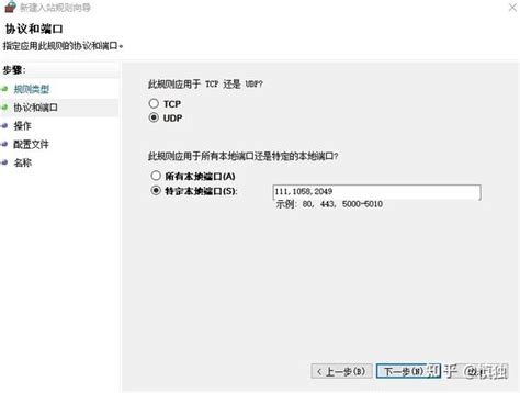 Win Nfs Portainer