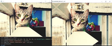 Opencv4ccvcopymakeborder边界填充 Csdn博客