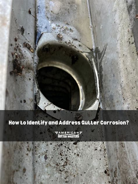 11 Common Gutter Problems Americanguttermasters