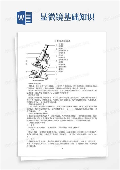 显微镜基础知识Word模板下载 编号qkzjebnb 熊猫办公