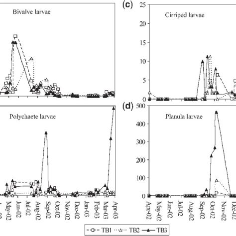 Abundance Of Bivalve Larvae Polychaete Larvae Cirriped Larvae And