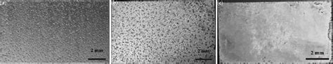 Optical Macrographs Of Surface Exposed To The Salt Spray Test For 24 H