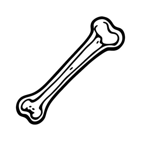 Bone Blueprint Images Free Download On Freepik Bone Blueprint Images Free Download On Freepik