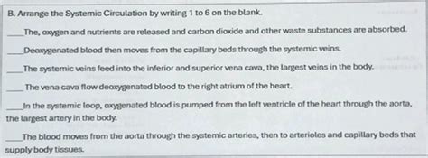 B Arrange The Systemic Circulation By Writing Studyx