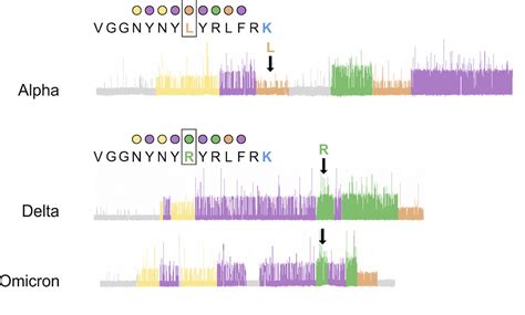 the protein sequencing company™ quantum si
