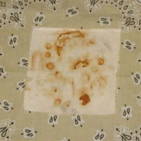 Rust Dye How To Dye Fabric With Rusty Objects