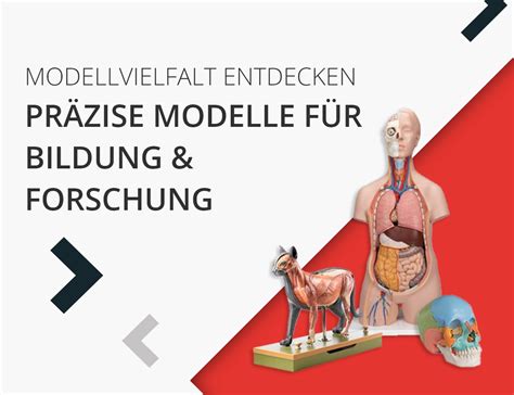 Modelle für Schul Labore Klüver Schulz Anschauliches Lernen