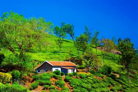 9 Best Things To Do In Coonoor On Your Trip Down South In 2019