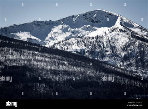 The Lolo Peak Fire Burned The Forest Below Lolo Peak Montana Stock